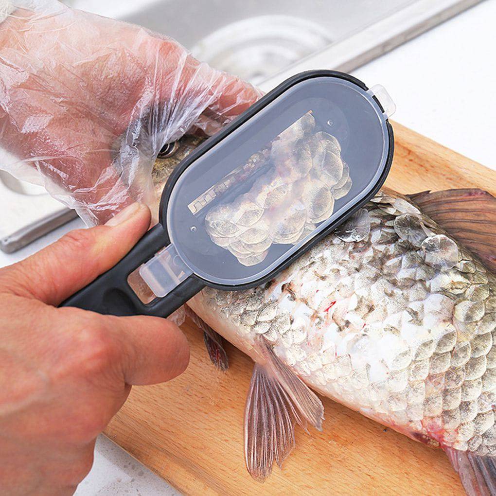 Portable Fish Scales Remover | TheWellBeing4All